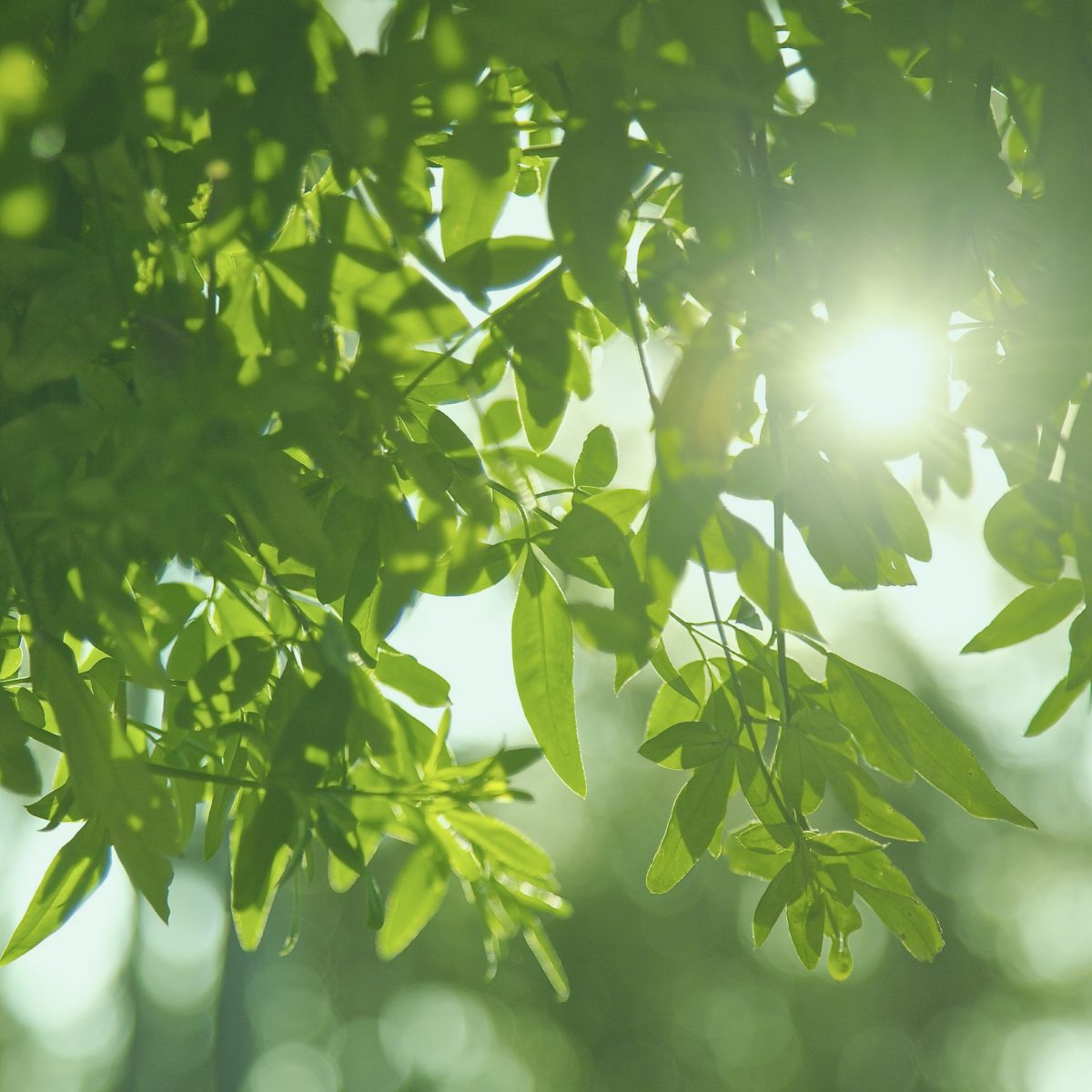 How we achieve our overhead photos - What Hannah Did Next